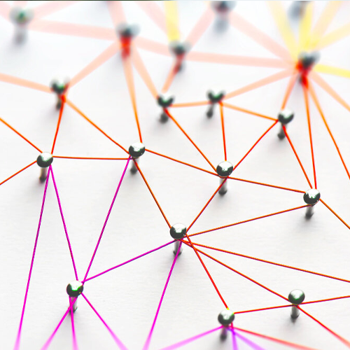 About Qalam Network - Connecting Dreams, Building Community